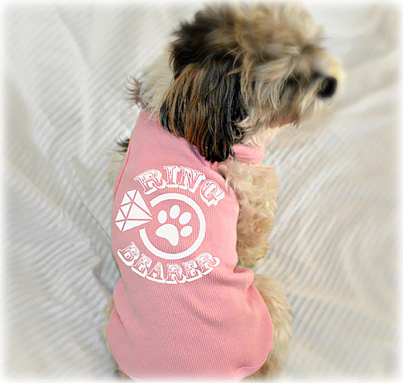 How to Propose With the Help of Your Dog - Engagement 101